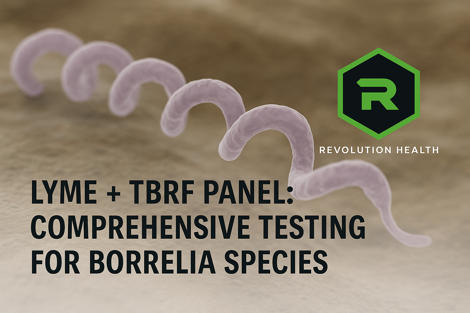 Lyme + TBRF Panel: Comprehensive Borrelia Species Testing – Revolution ...
